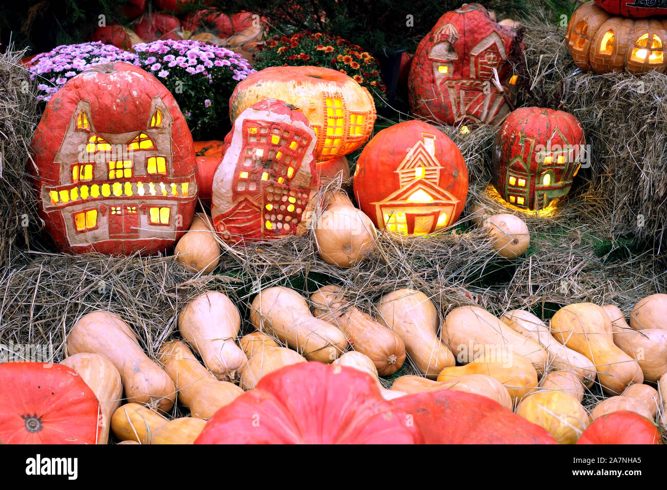 Halloween pumpkins with light inside and colorful still life with lot ...