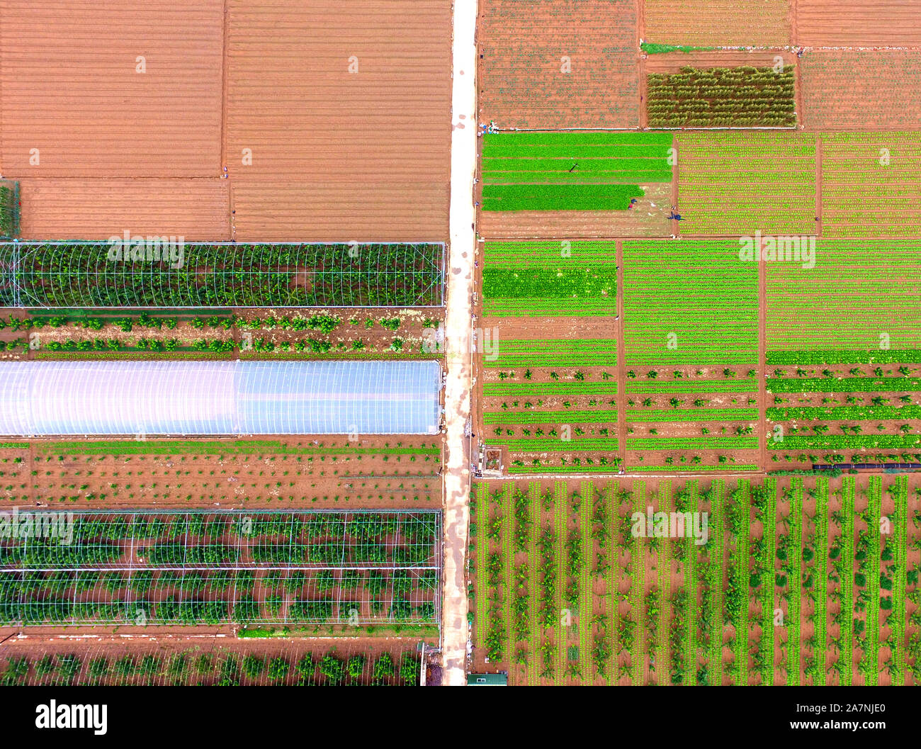 Aerial view of the colorful fields being poured by rains caused by ...