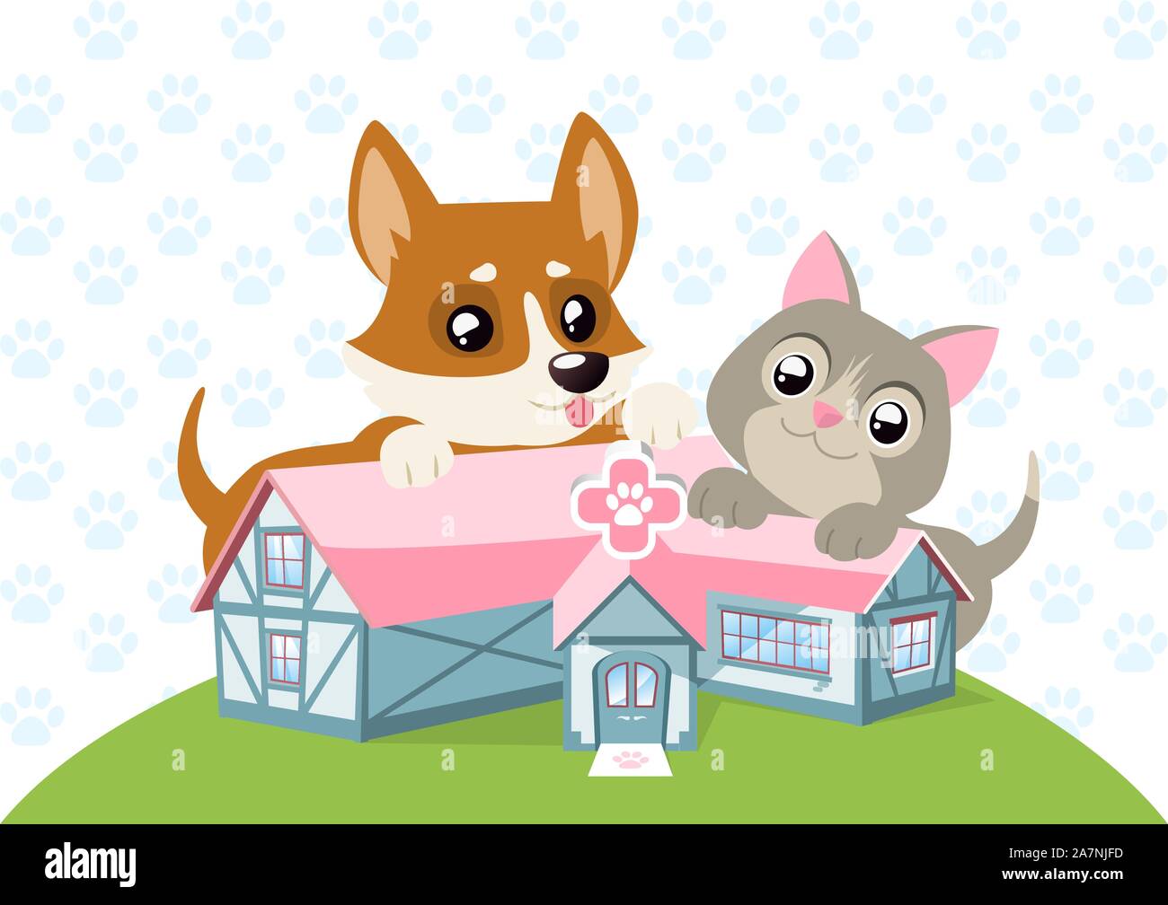 Animal Care Hospital, with a brown dog and a grey cute kitten vector ...