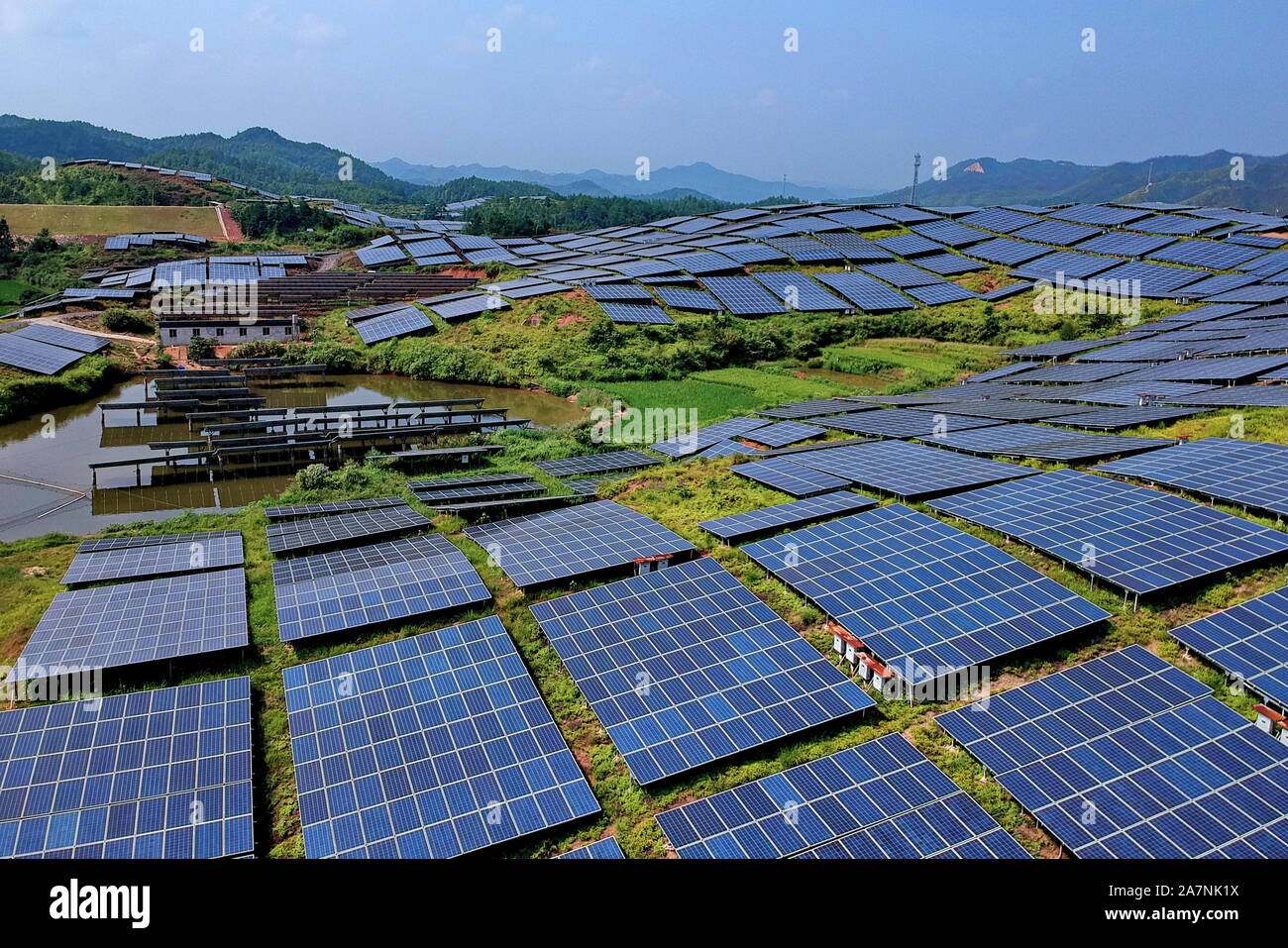 Arrays of solar panels are installed at the uncultivated land on a hill ...