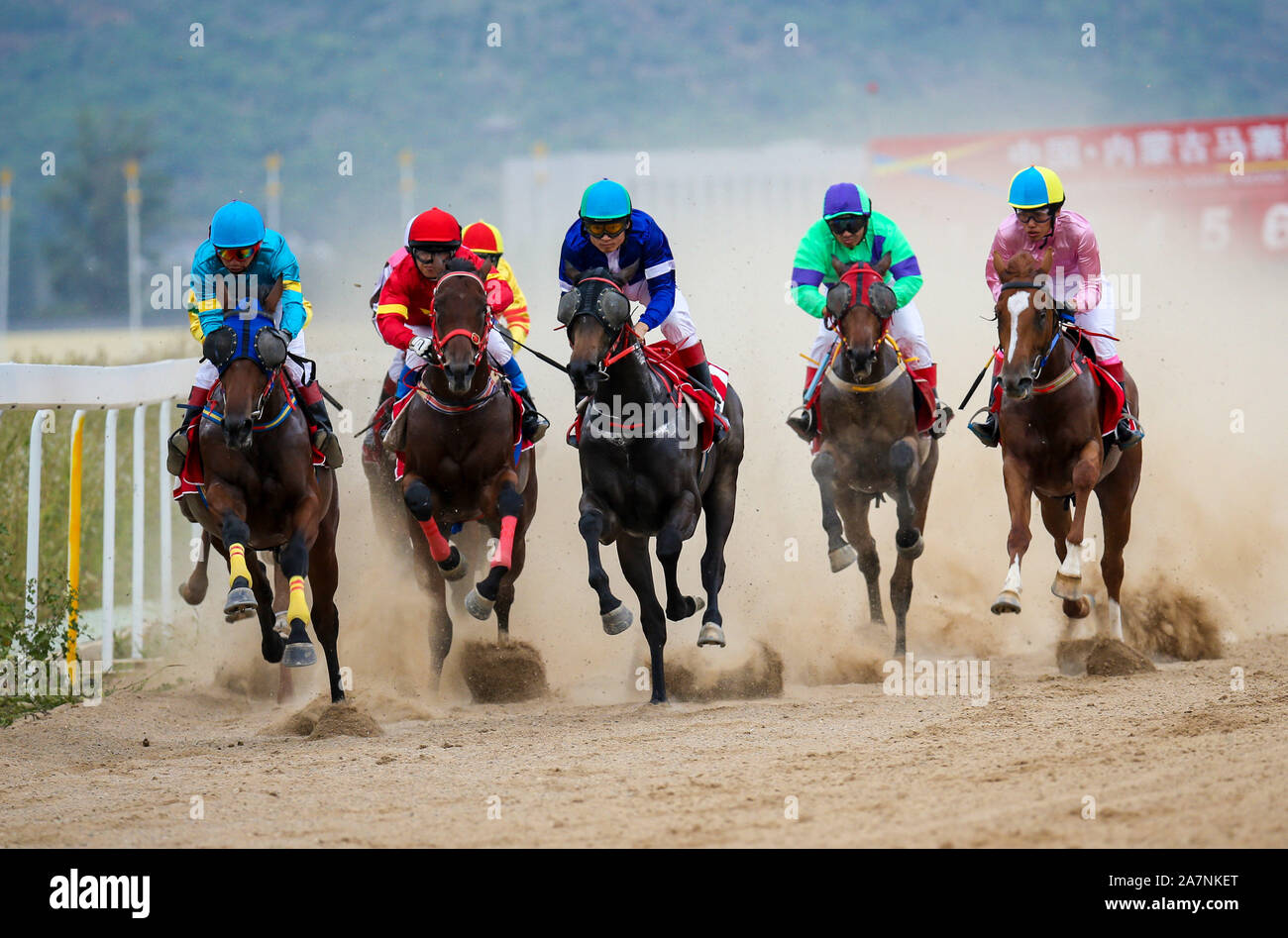 Racers riding horse compete against each other during Horse Speed ...