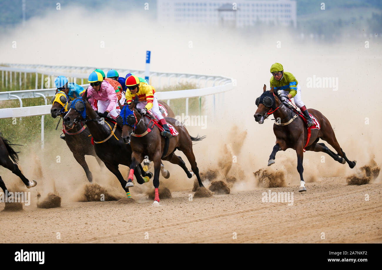 Racers riding horse compete against each other during Horse Speed ...