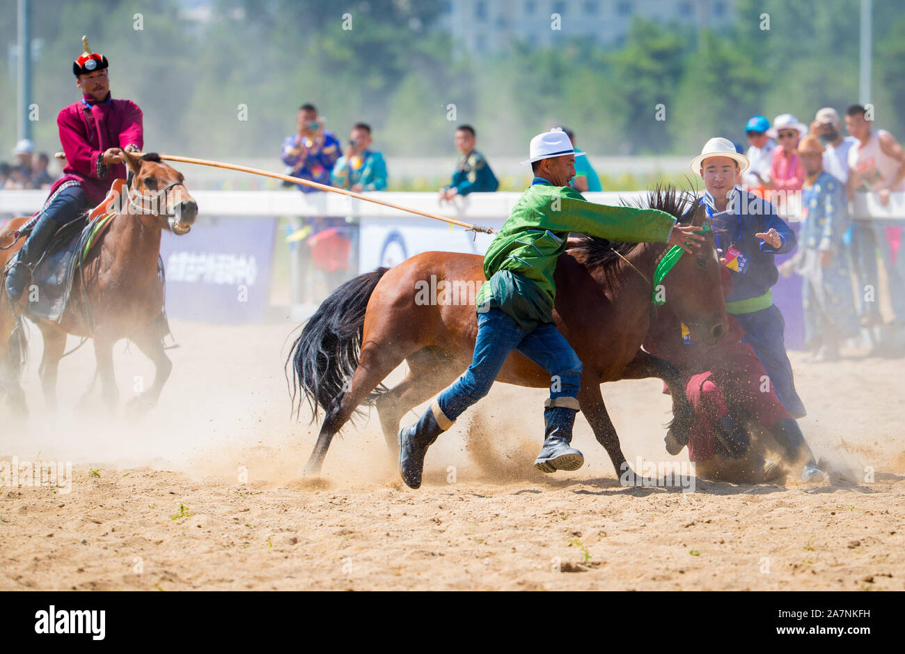 Chinese equestrians take part in a horse training contest in Huhhot ...