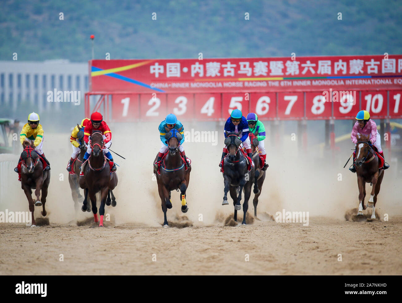 Racers riding horse compete against each other during Horse Speed ...
