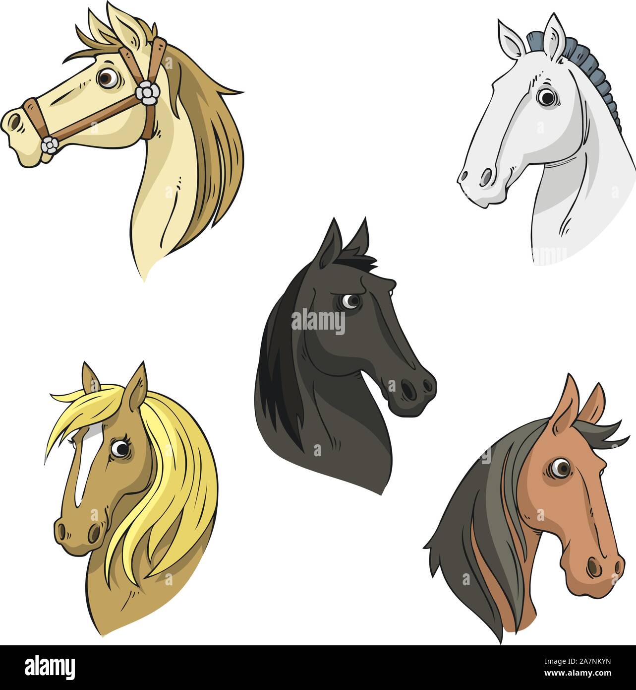Horse Head Stallion Equine Collection Vector Illustration Stock Vector ...