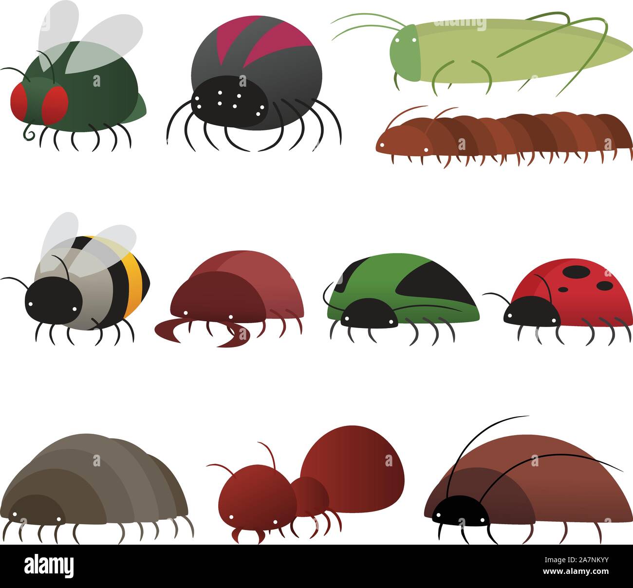 Insects identification Stock Vector Images - Alamy