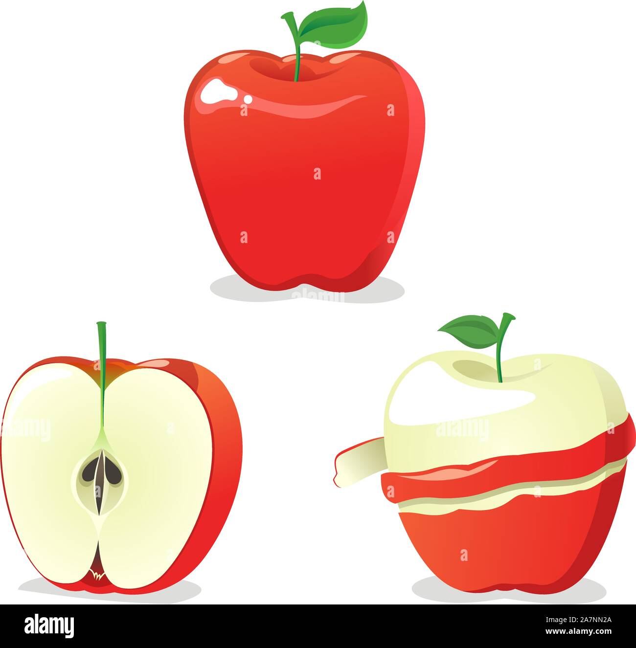 Apple Vector Illustration In Various Stages Of Peeling Stock Vector
