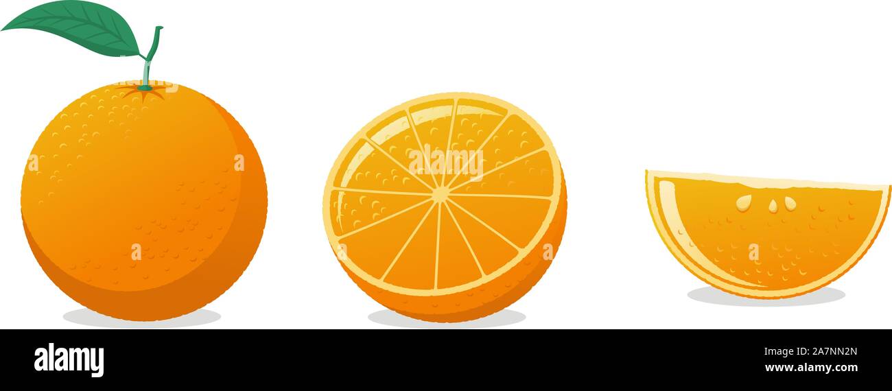 Orange cartoon vector illustration Stock Vector Image & Art - Alamy