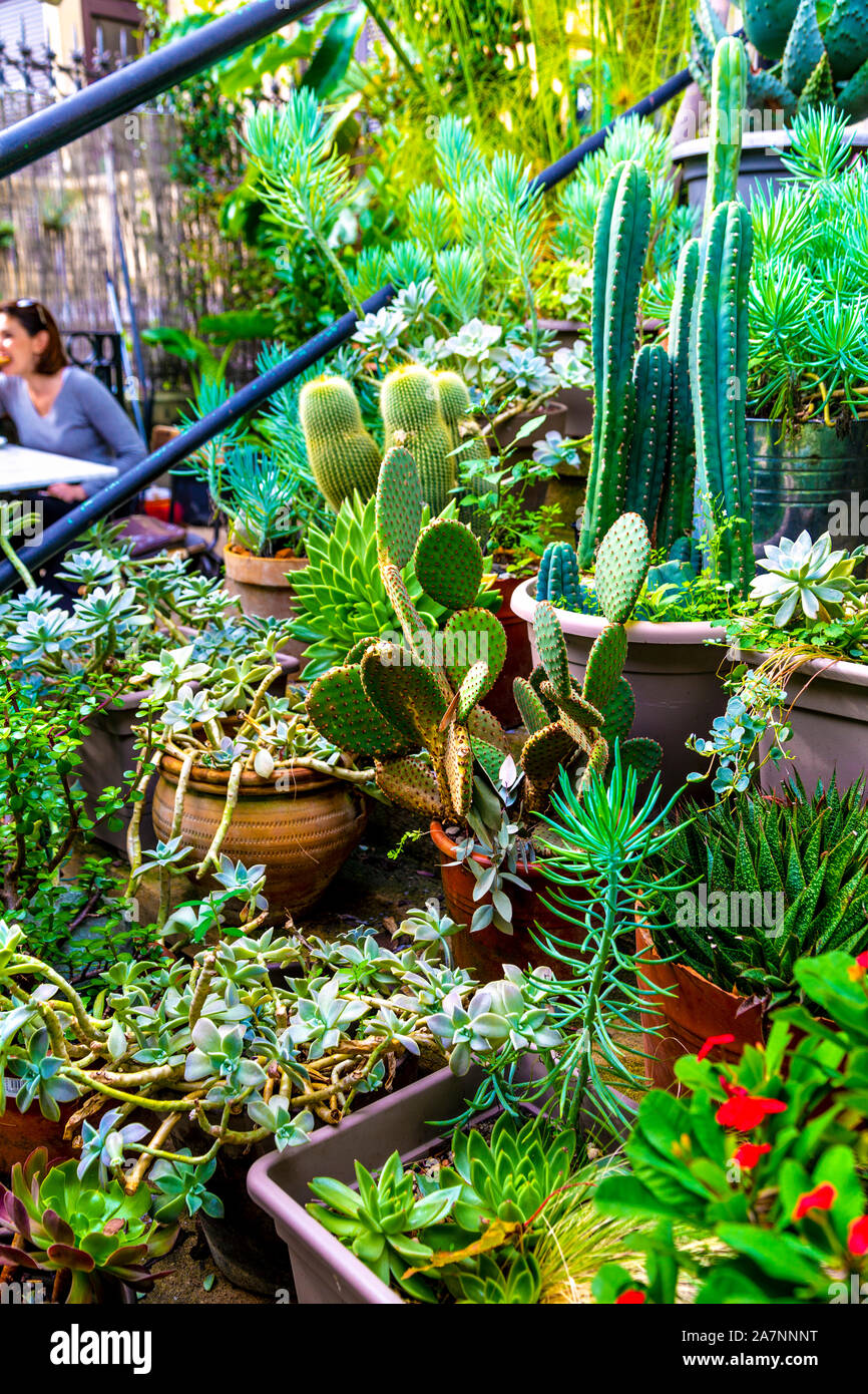 Botanika cafe hi-res stock photography and images - Alamy