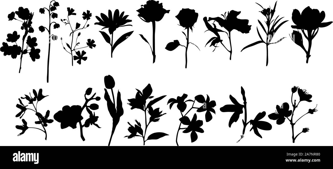Flowers on stems black vector silhouette Stock Vector Image & Art - Alamy