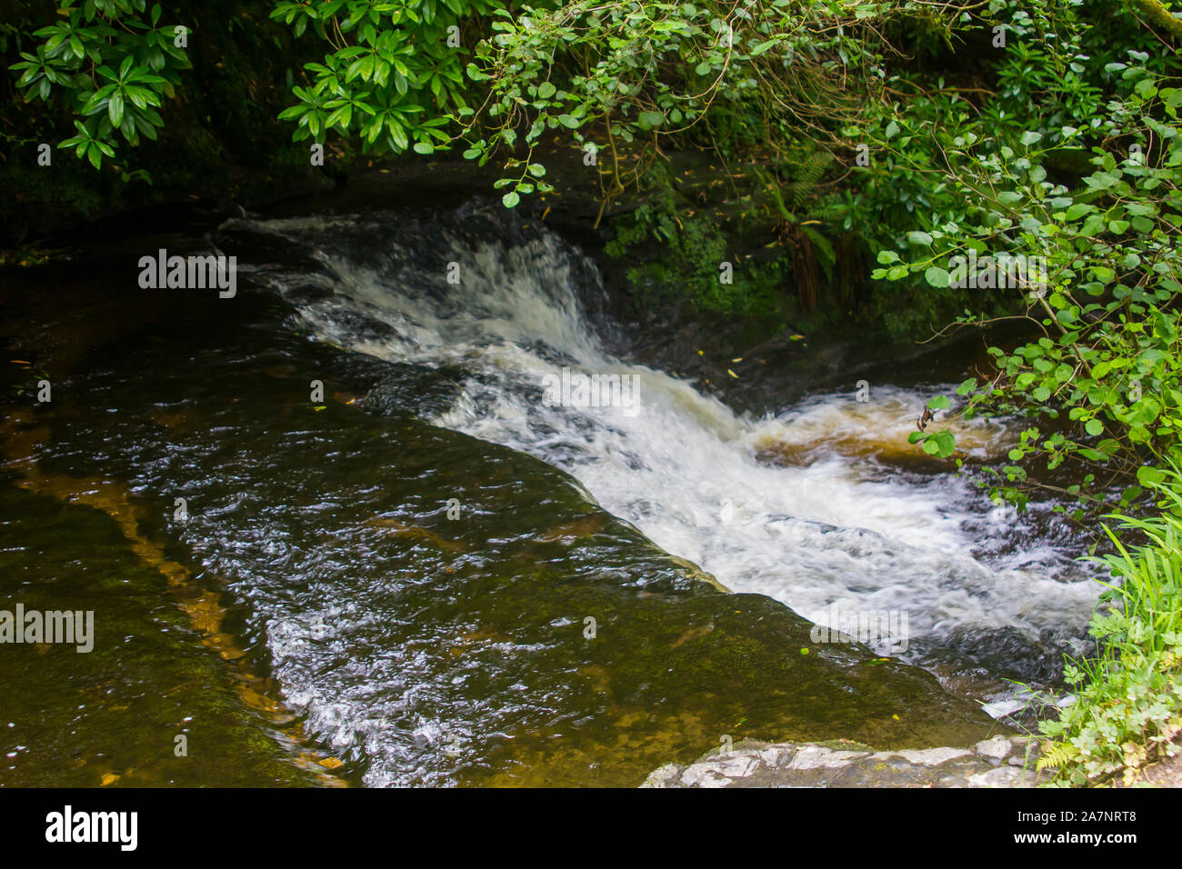 23 August 2019. The small fast running river at the Glencar waterfall ...