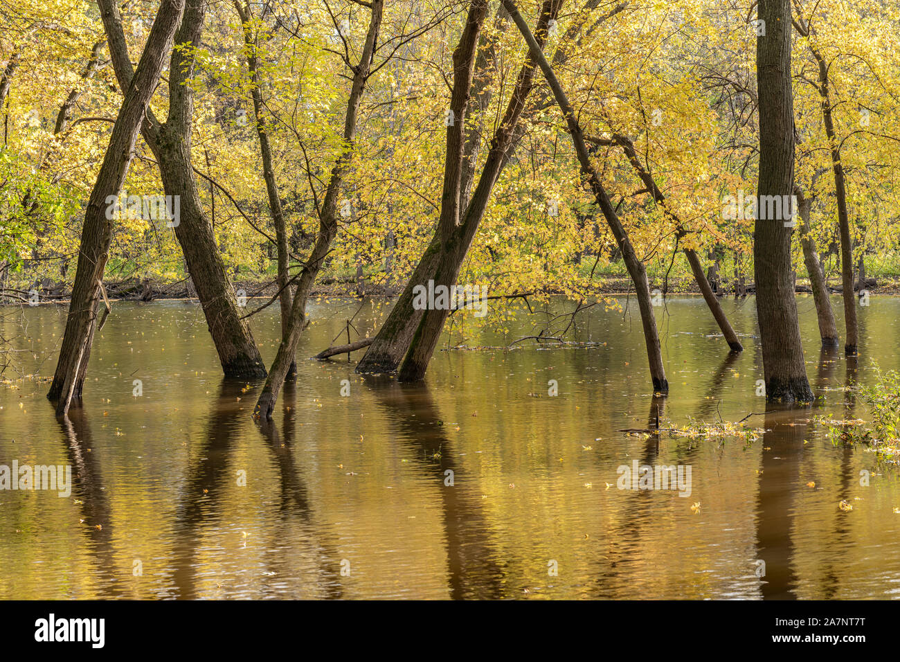 Floodplain landscapes hi-res stock photography and images - Alamy