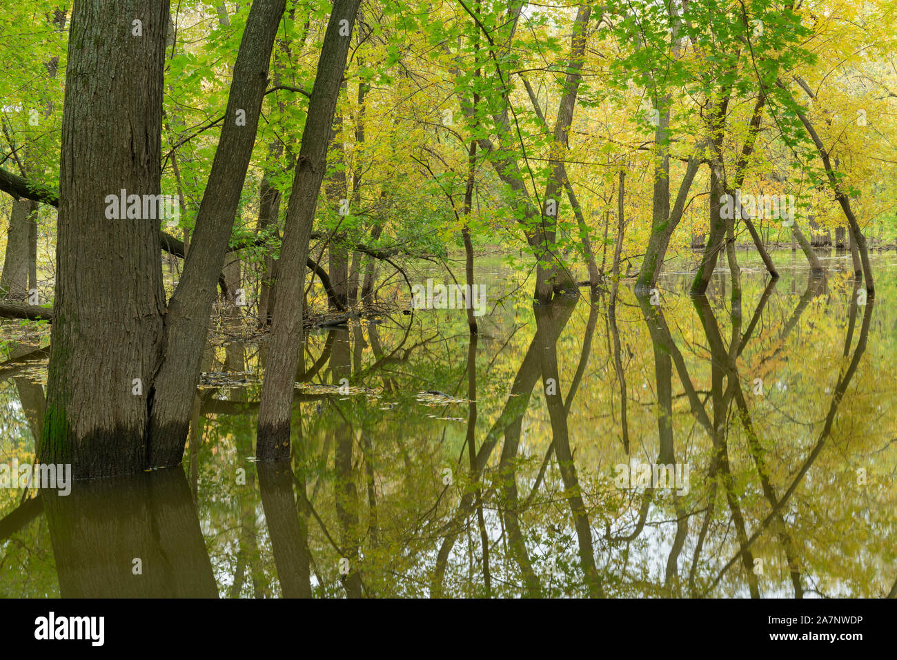 Floodplain landscapes hi-res stock photography and images - Alamy