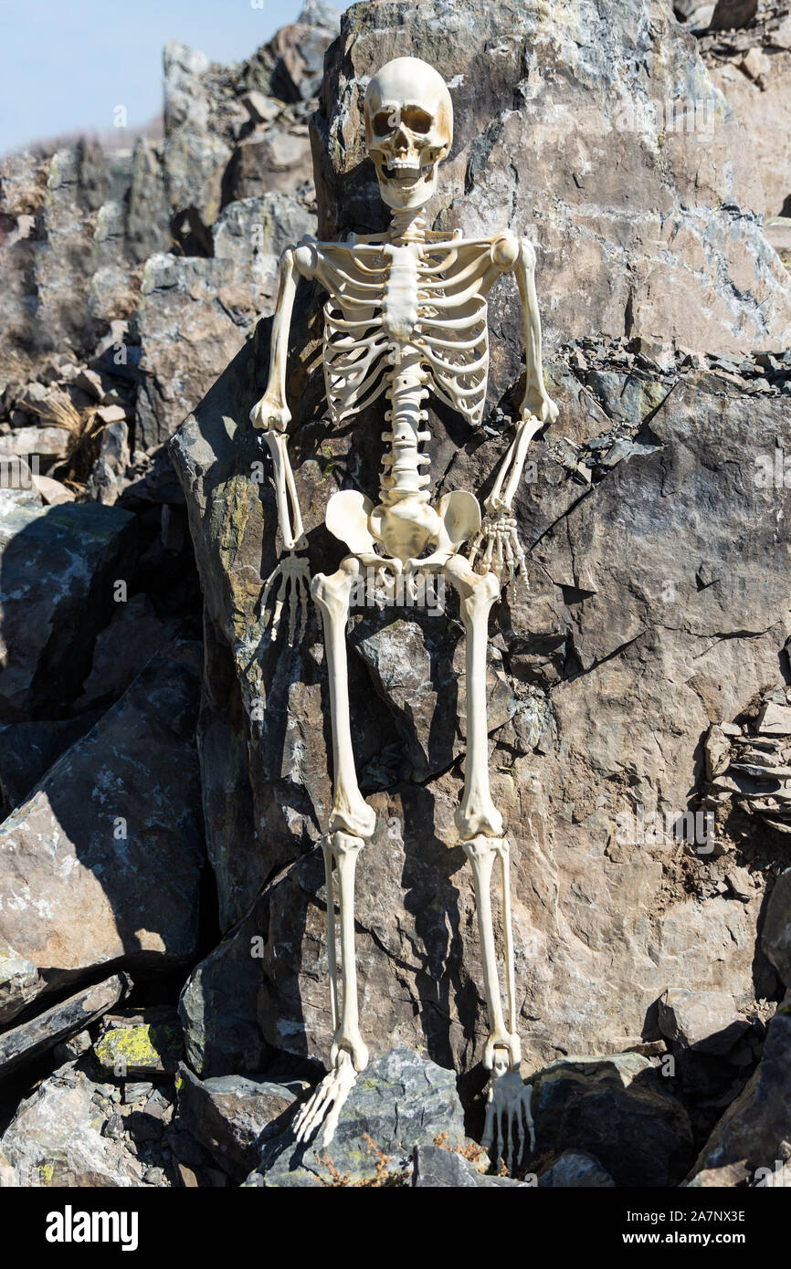 Human bones desert hi-res stock photography and images - Alamy