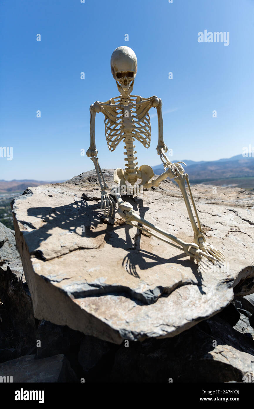 Skeleton sitting on rocks in the desert with a beautiful blue sky Stock ...
