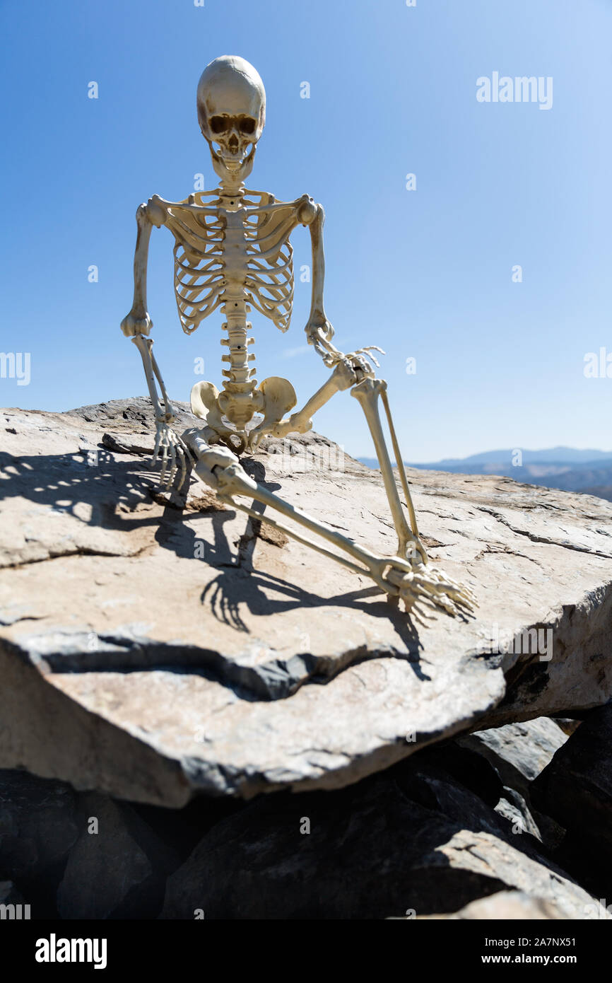 Skeleton sitting on rocks in the desert with a beautiful blue sky Stock ...