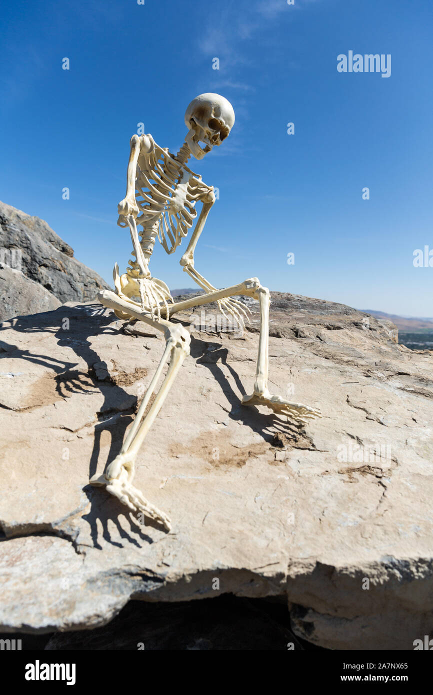 Human skeleton on desert hi-res stock photography and images - Alamy
