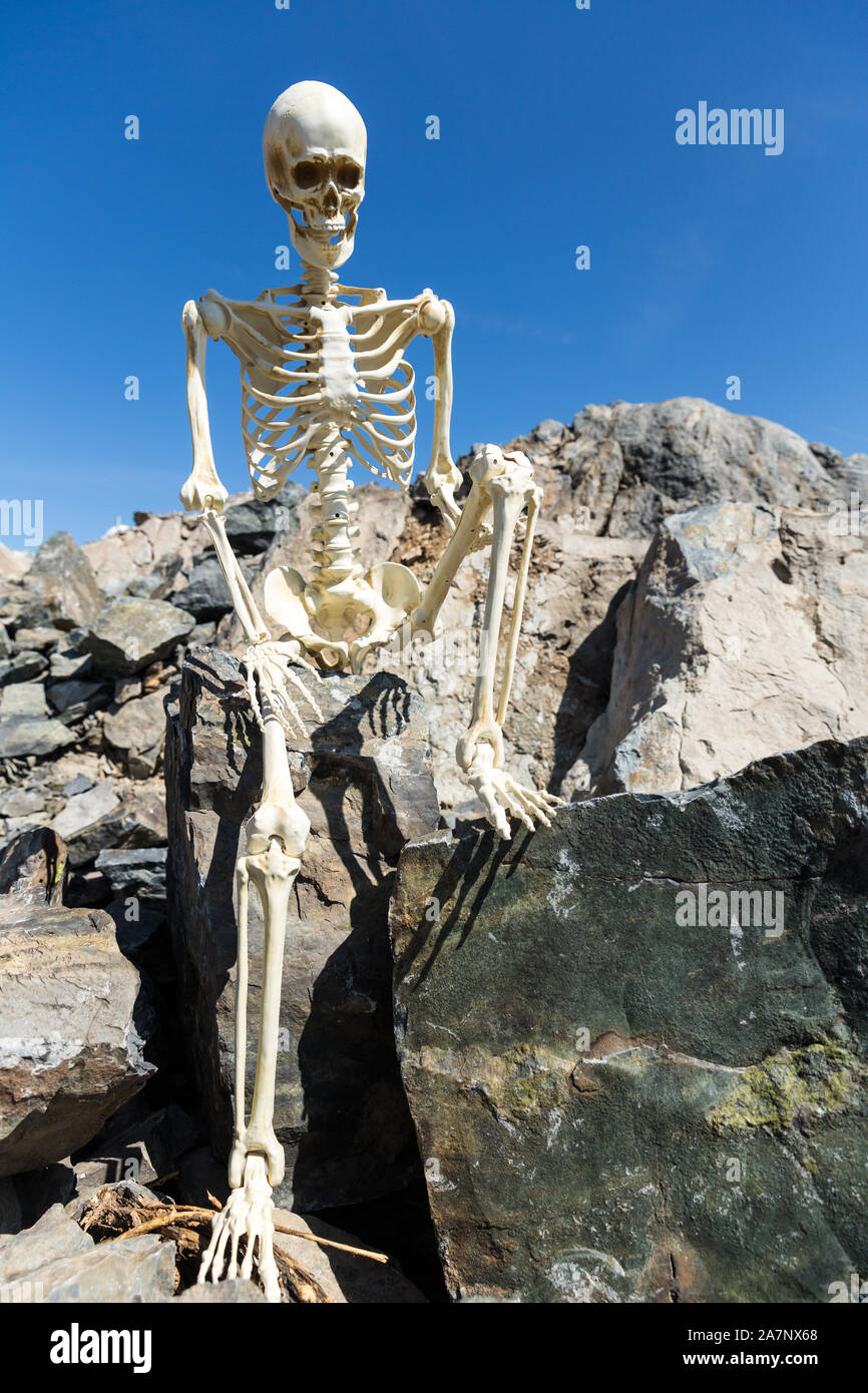 Skeleton sitting on rocks in the desert with a beautiful blue sky Stock ...