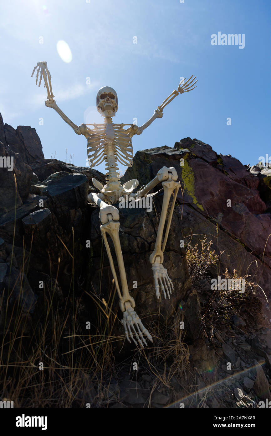 Backlit skeleton looms creepily on rocks in the desert Stock Photo - Alamy