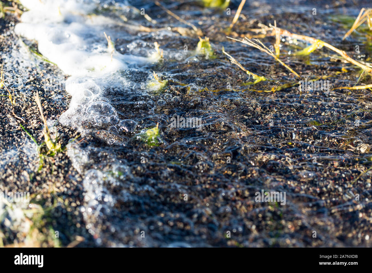 Foam and bubbles on the sand at the beach Pyramid Lake Stock Photo - Alamy