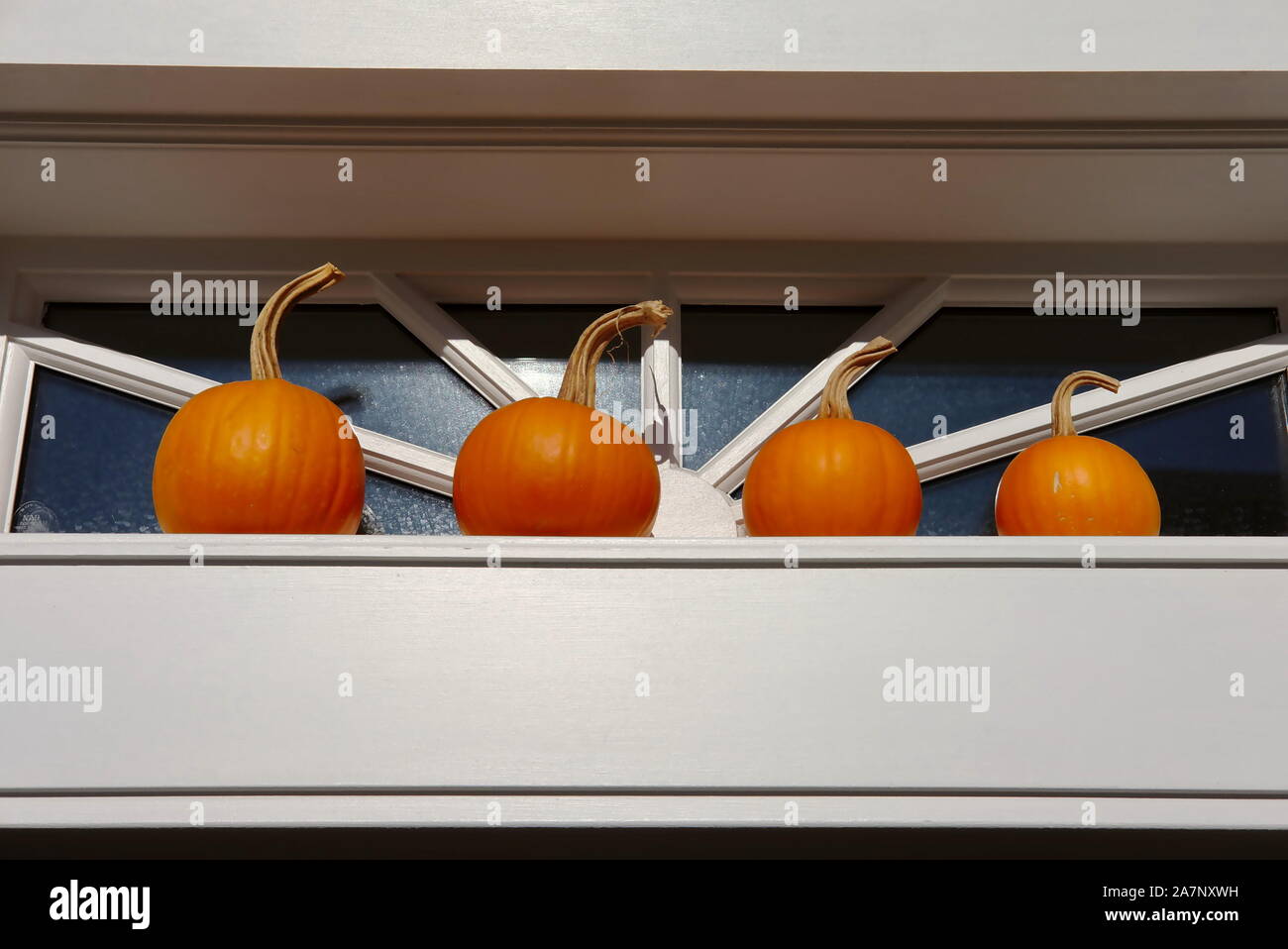 Four pumpkins adorn a glass entryway during harvest time Stock Photo ...