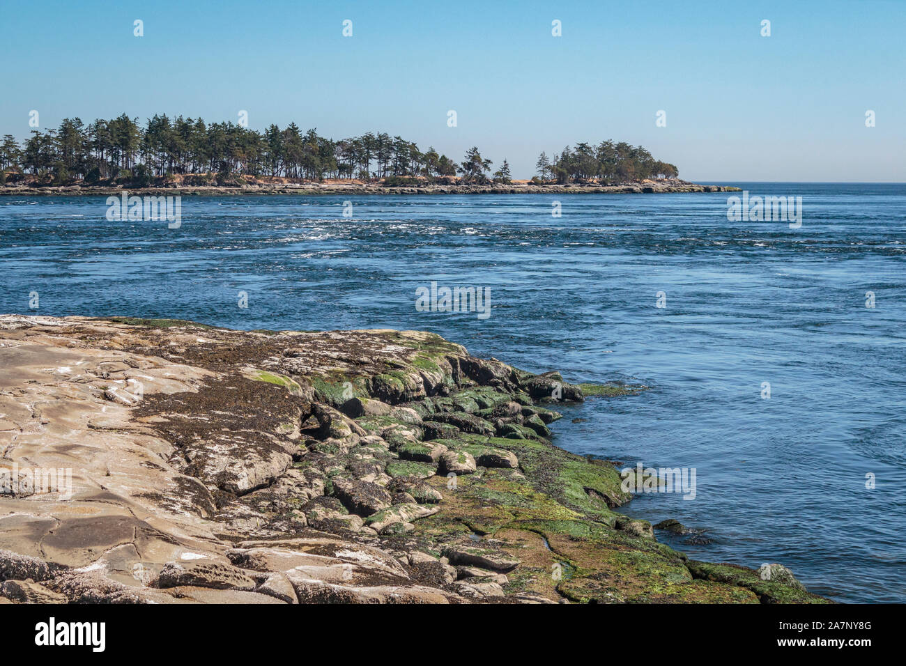 Swirling rapids form when strong tidal currents run at Gabriola Passage ...