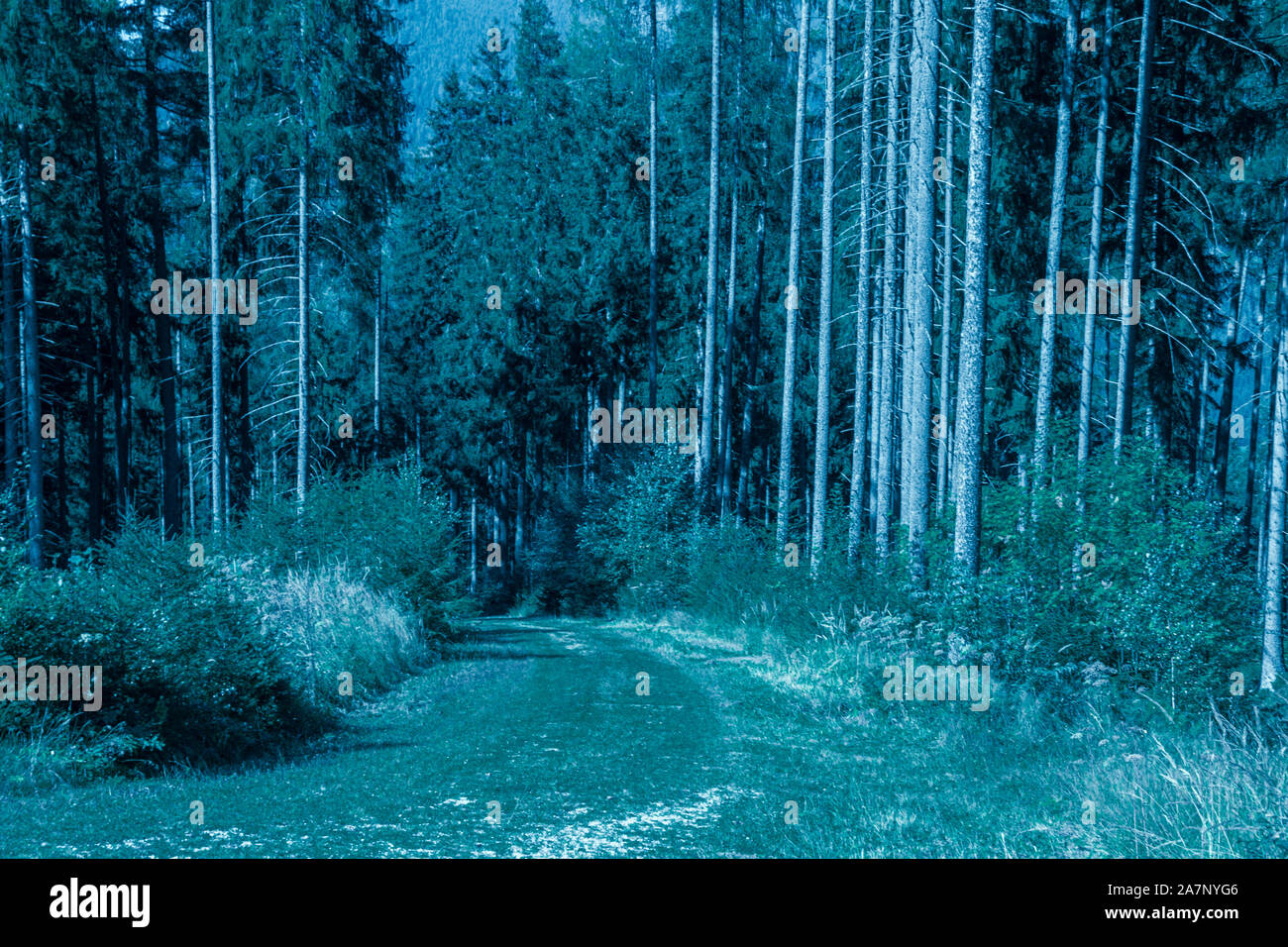 Silver landscape hi-res stock photography and images - Alamy