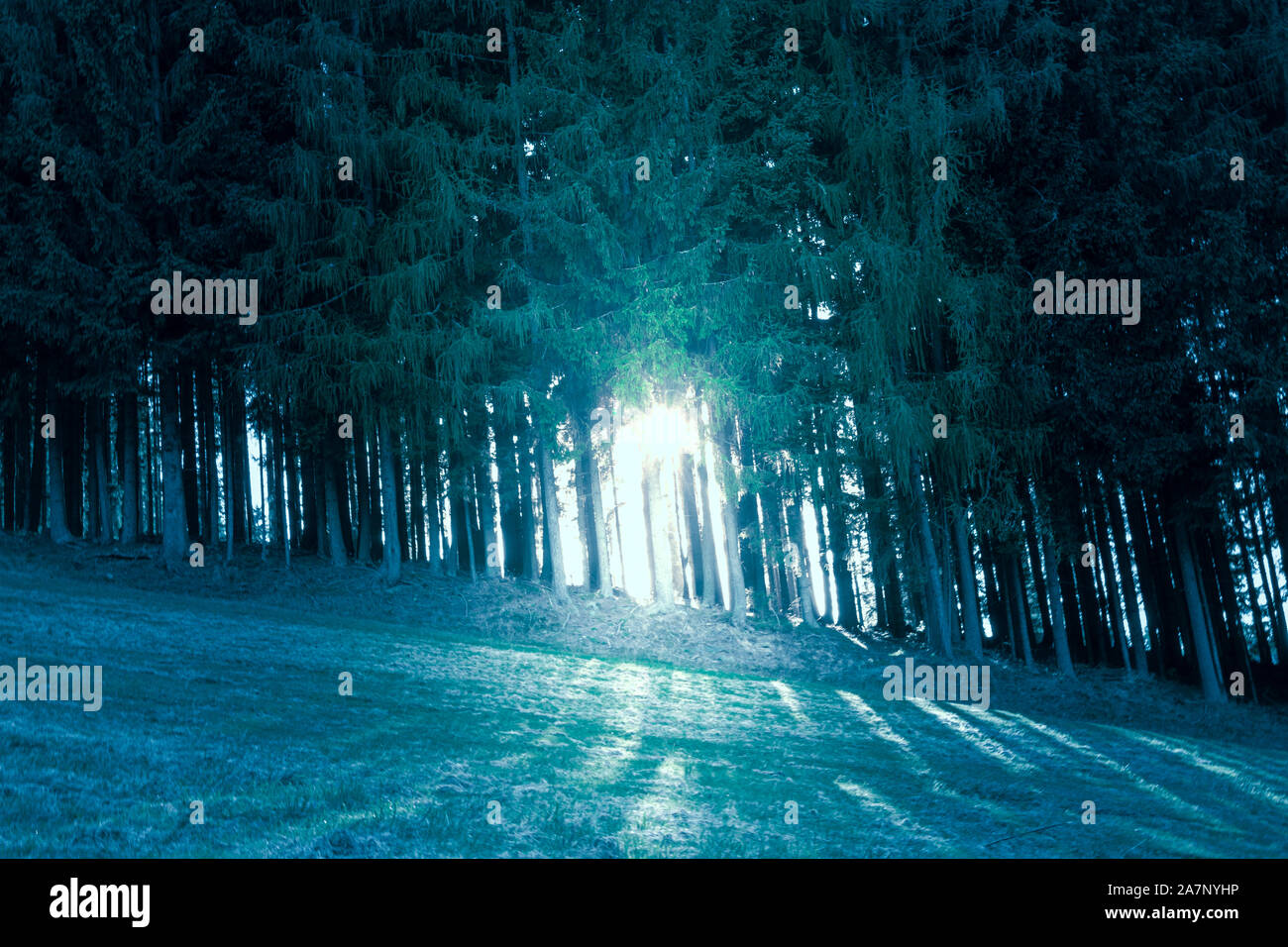 Silver landscape hi-res stock photography and images - Alamy