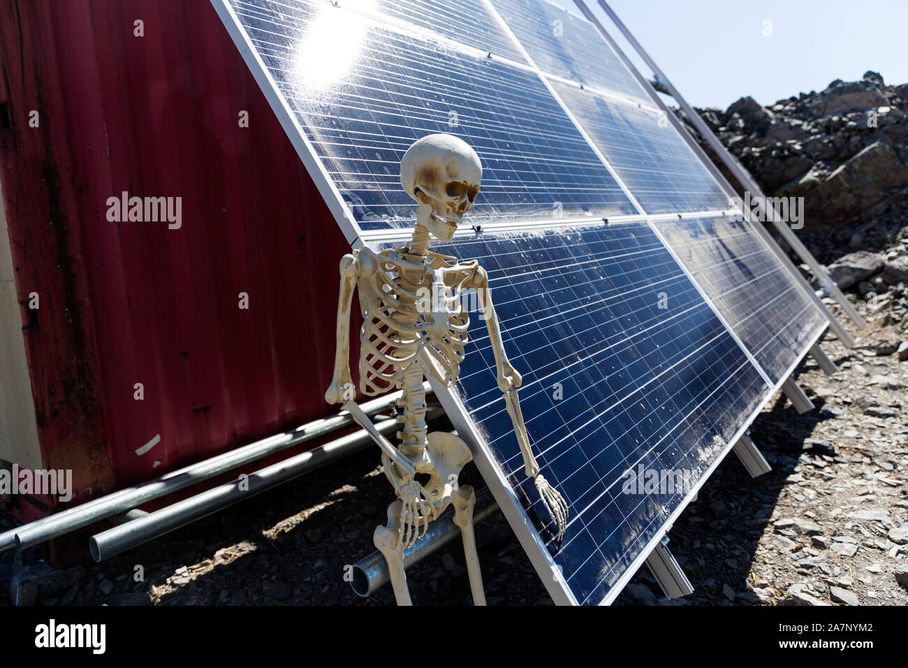 Human skeleton on desert hi-res stock photography and images - Alamy
