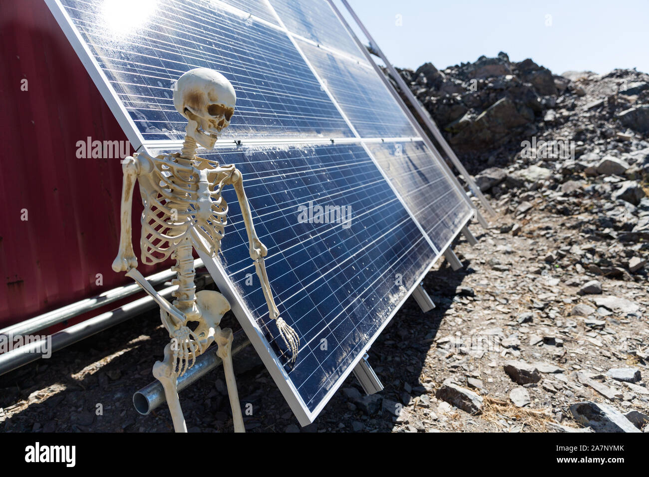 Human skeleton on desert hi-res stock photography and images - Alamy