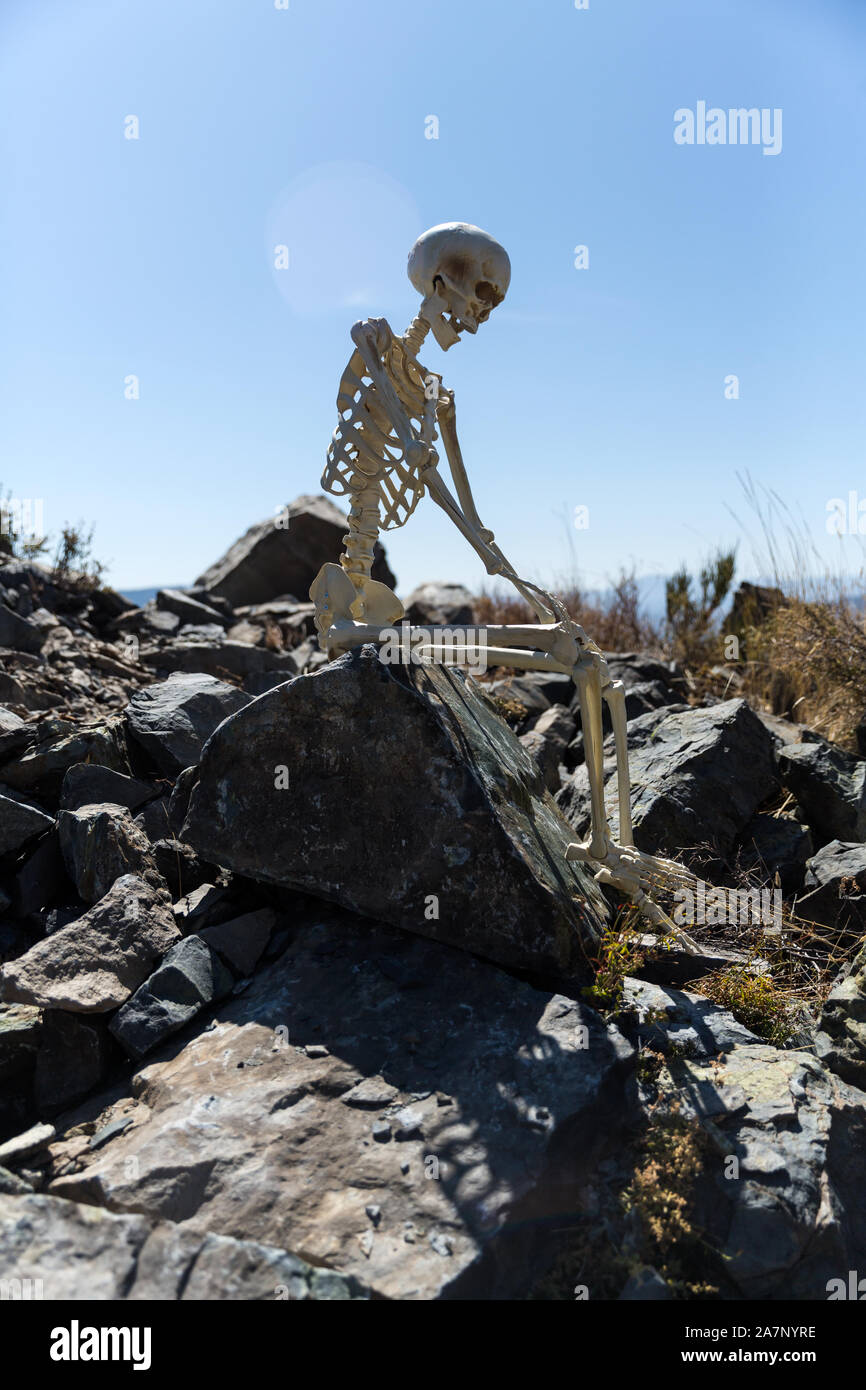 Human skeleton on desert hi-res stock photography and images - Alamy