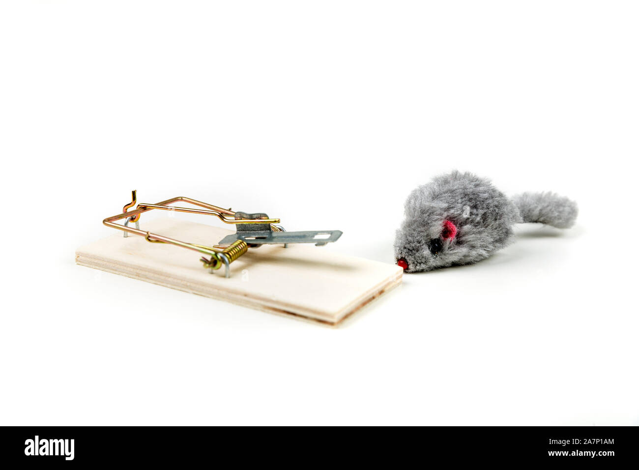 Grey toy mouse prowling around a wood mouse trap Stock Photo - Alamy