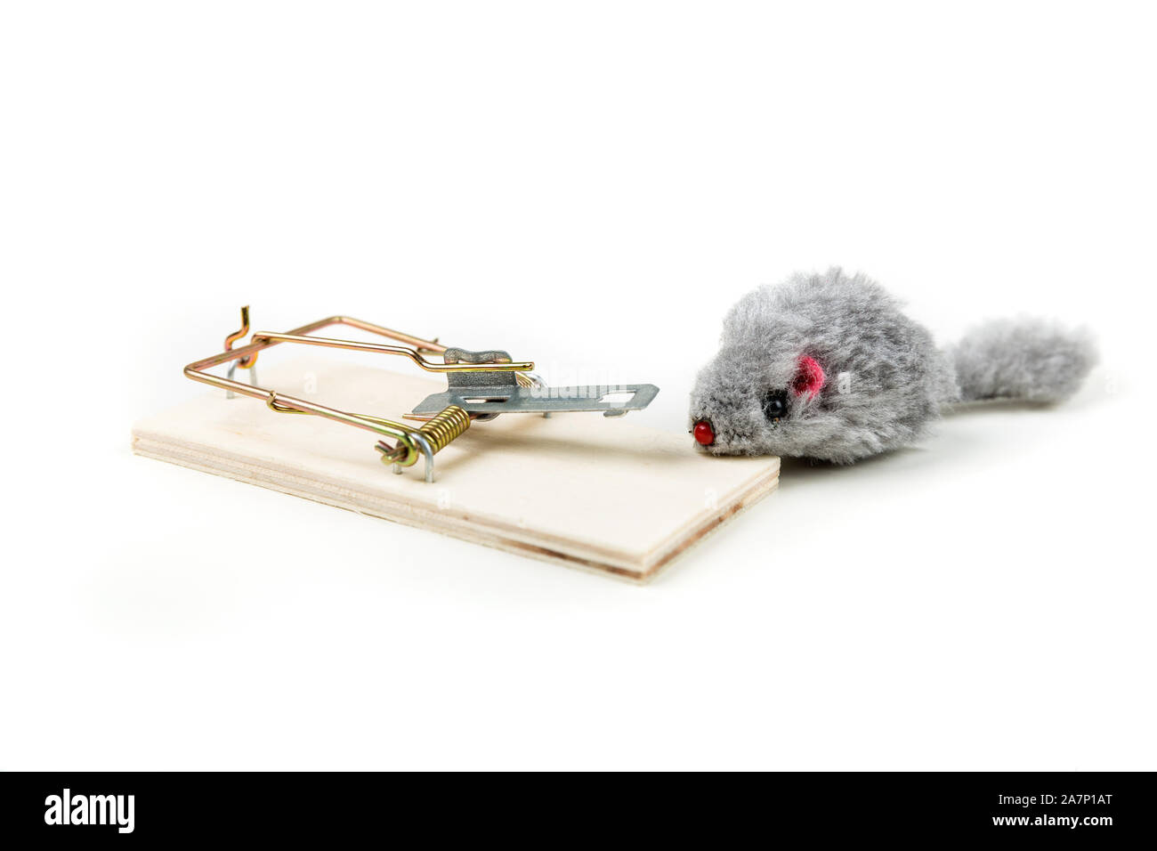 Grey toy mouse prowling around a wood mouse trap Stock Photo - Alamy