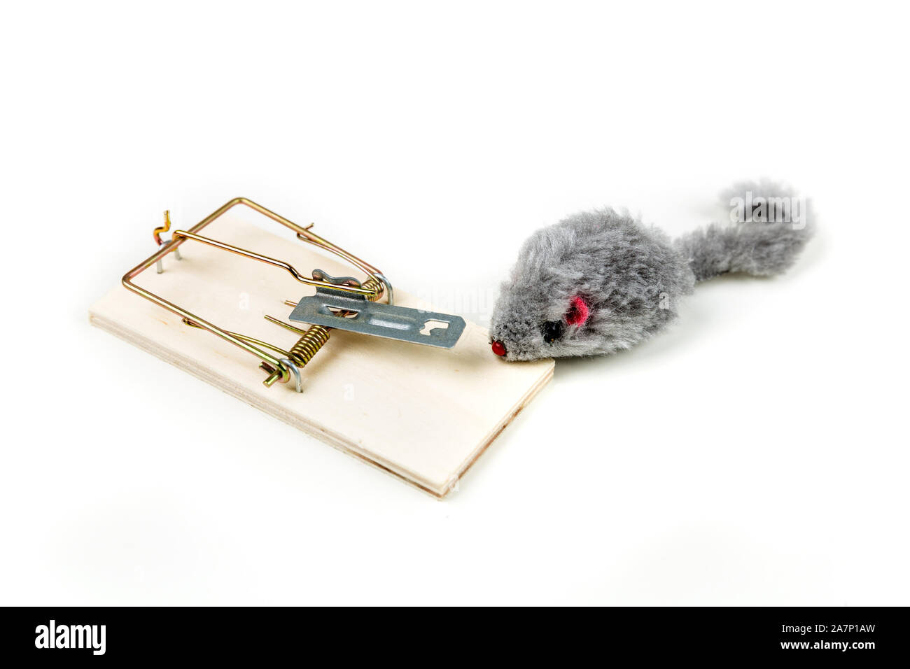 Grey toy mouse prowling around a wood mouse trap Stock Photo - Alamy