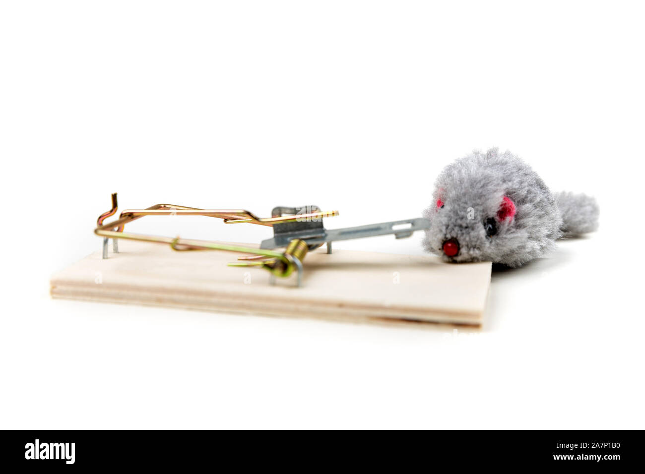 Grey toy mouse prowling around a wood mouse trap Stock Photo - Alamy