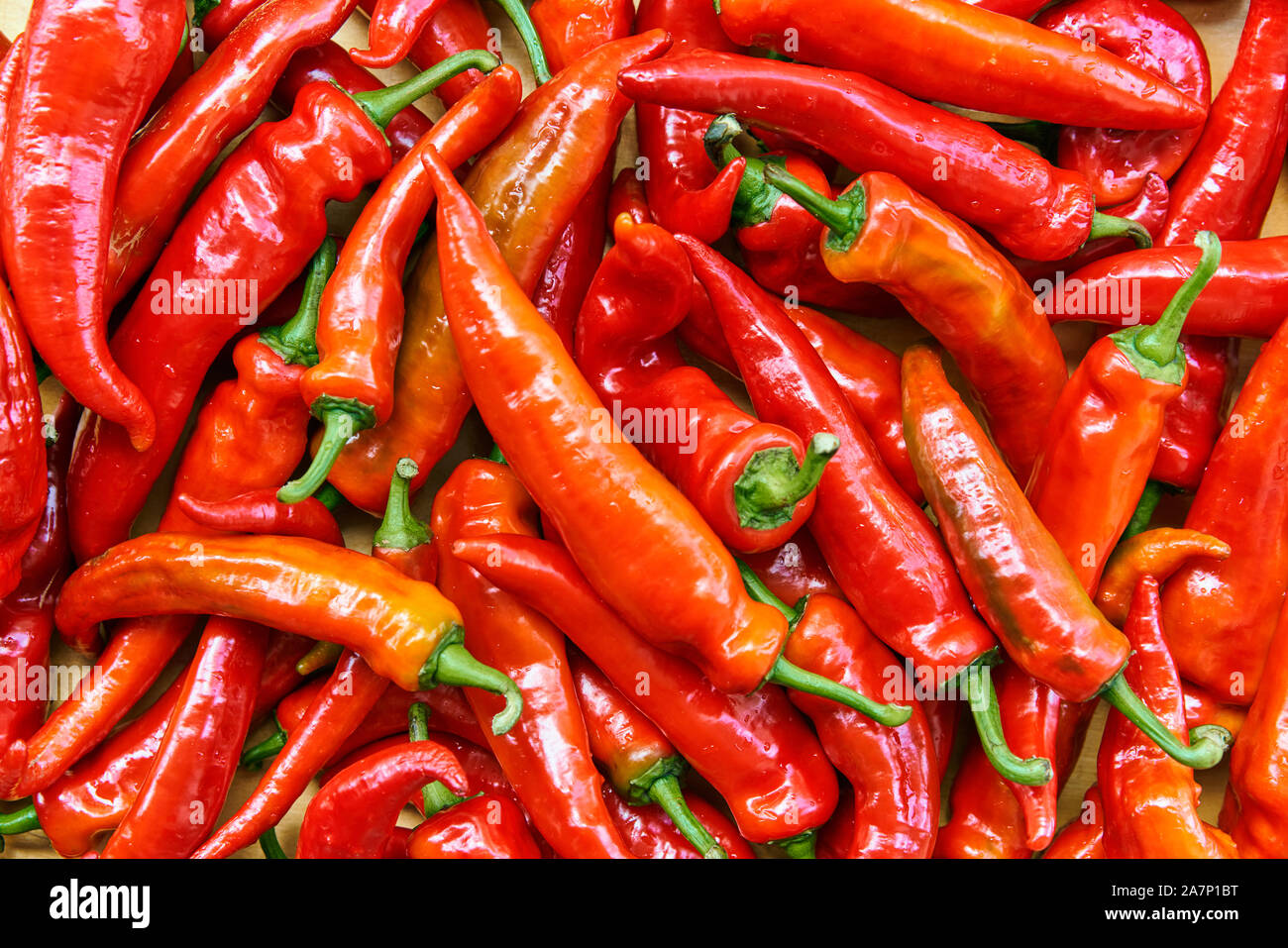 Red hot chilli peppers pattern texture background. Close up. Landscape ...
