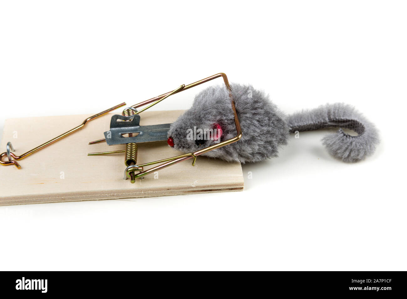 Grey toy mouse prowling around a wood mouse trap Stock Photo - Alamy