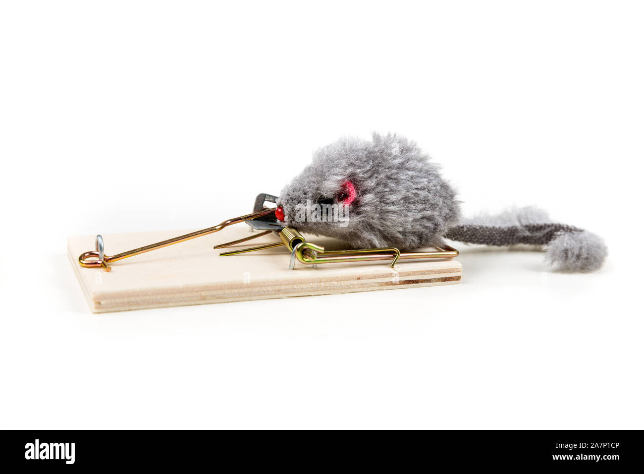 Grey toy mouse prowling around a wood mouse trap Stock Photo - Alamy