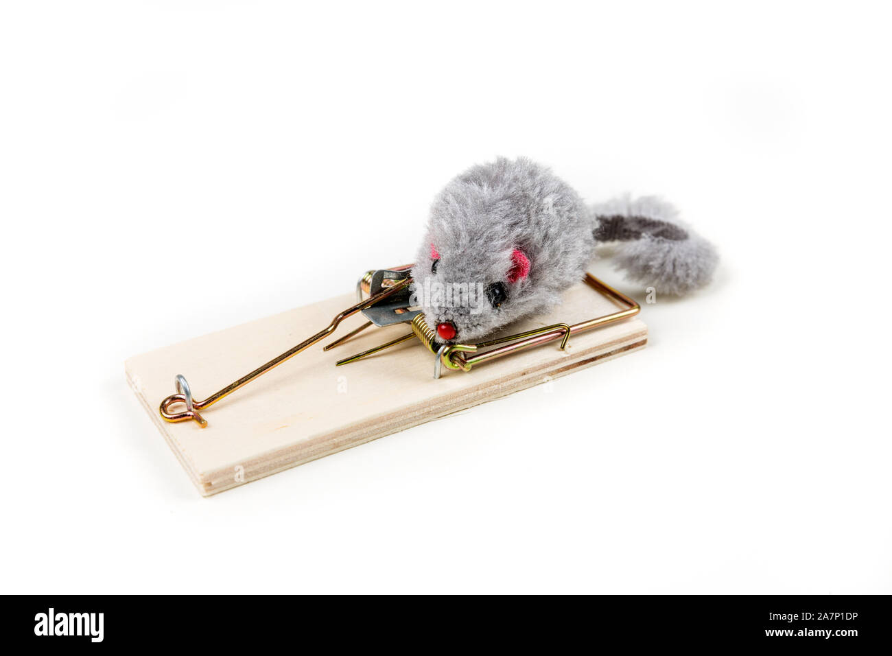 Grey toy mouse prowling around a wood mouse trap Stock Photo - Alamy