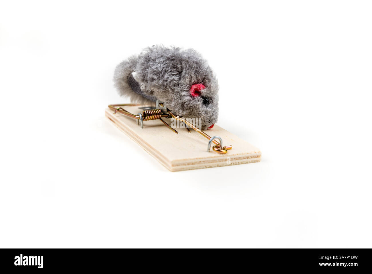 Prowling cat Cut Out Stock Images & Pictures - Alamy