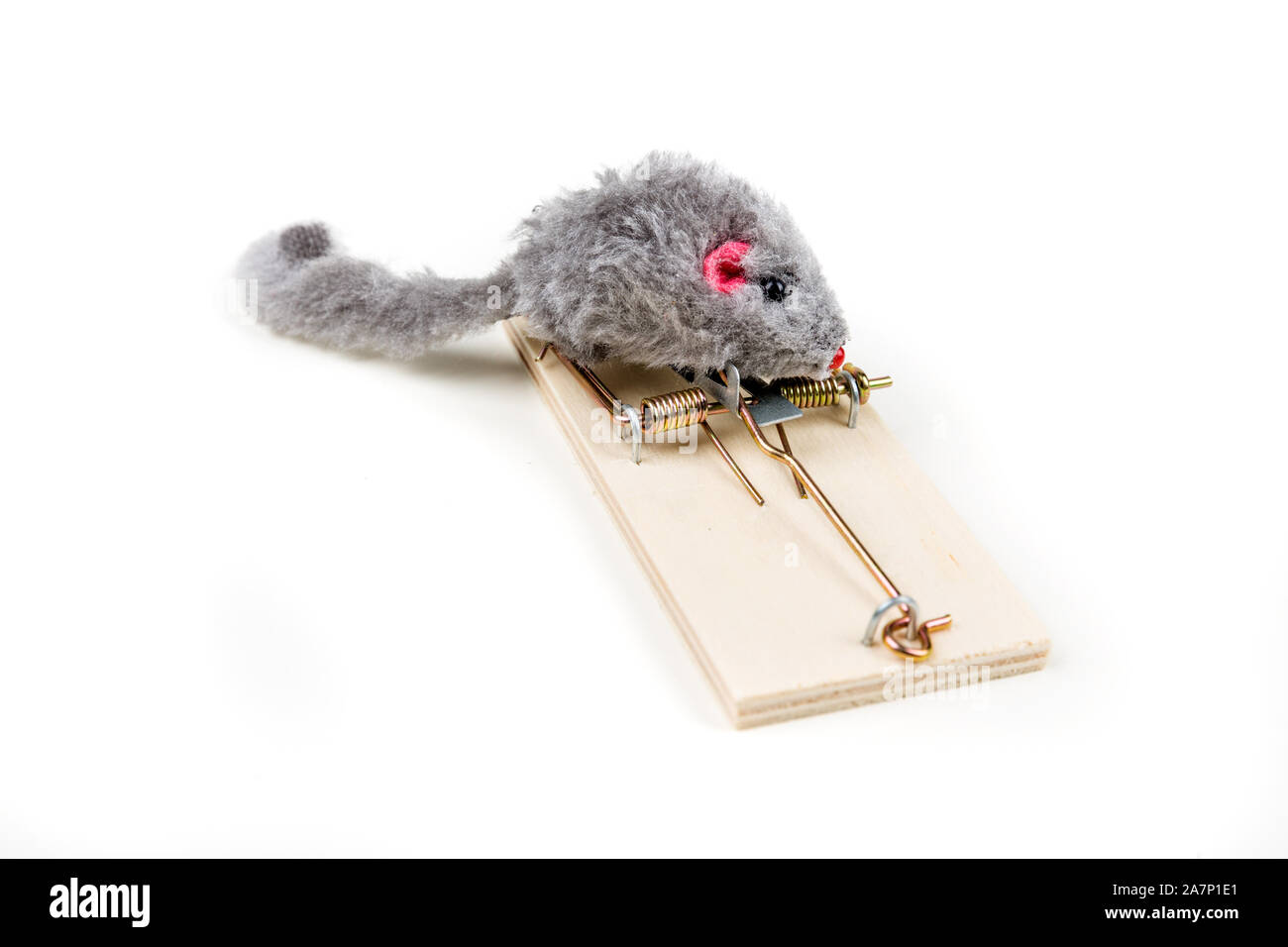Grey toy mouse prowling around a wood mouse trap Stock Photo - Alamy