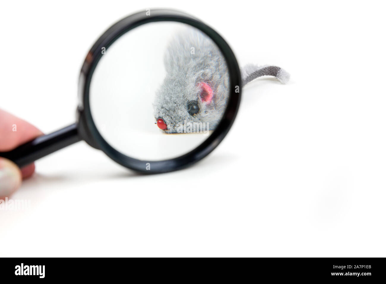 Magnify nose hi-res stock photography and images - Alamy