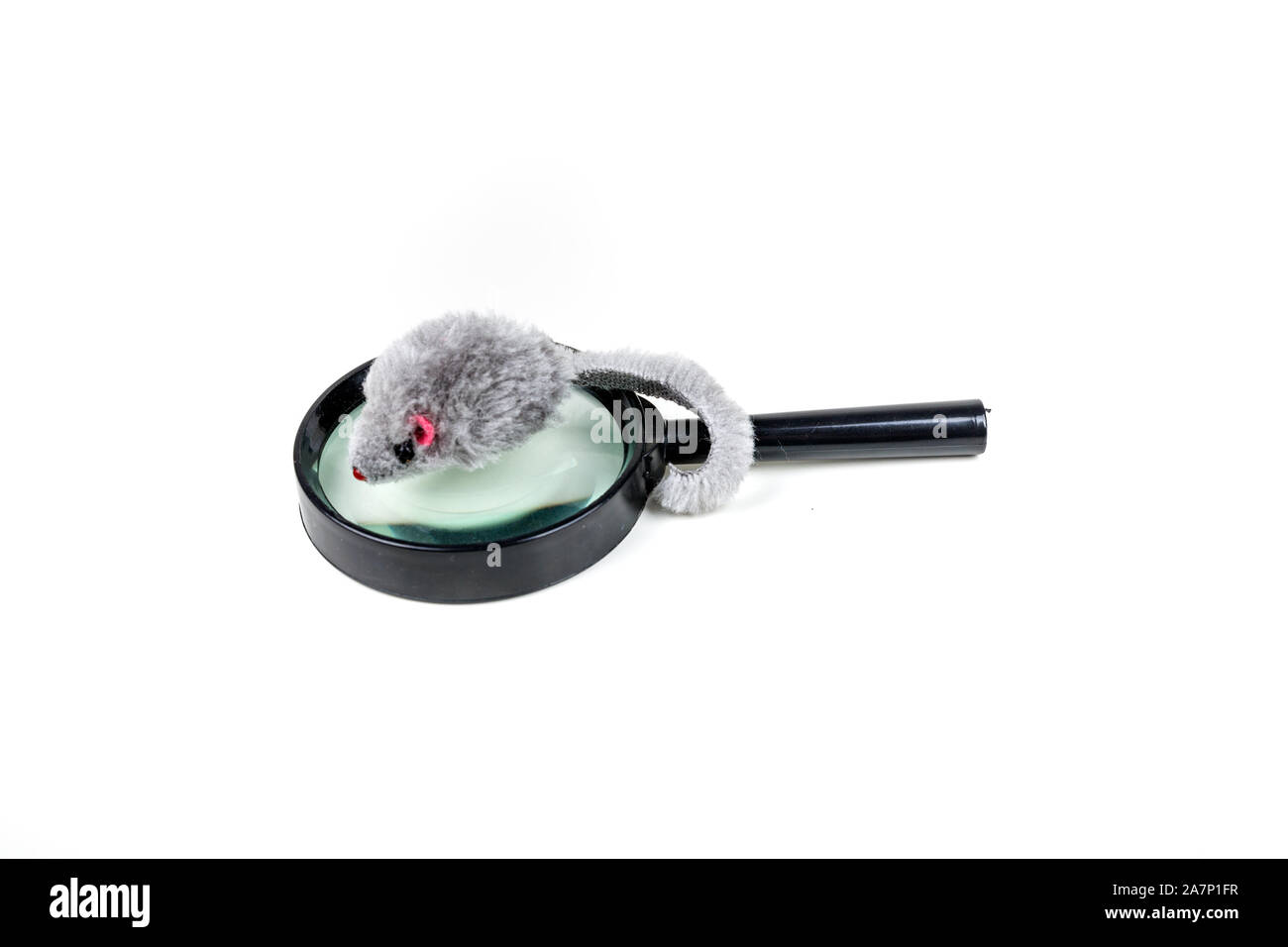 Small grey toy mouse in a magnifying glass Stock Photo - Alamy