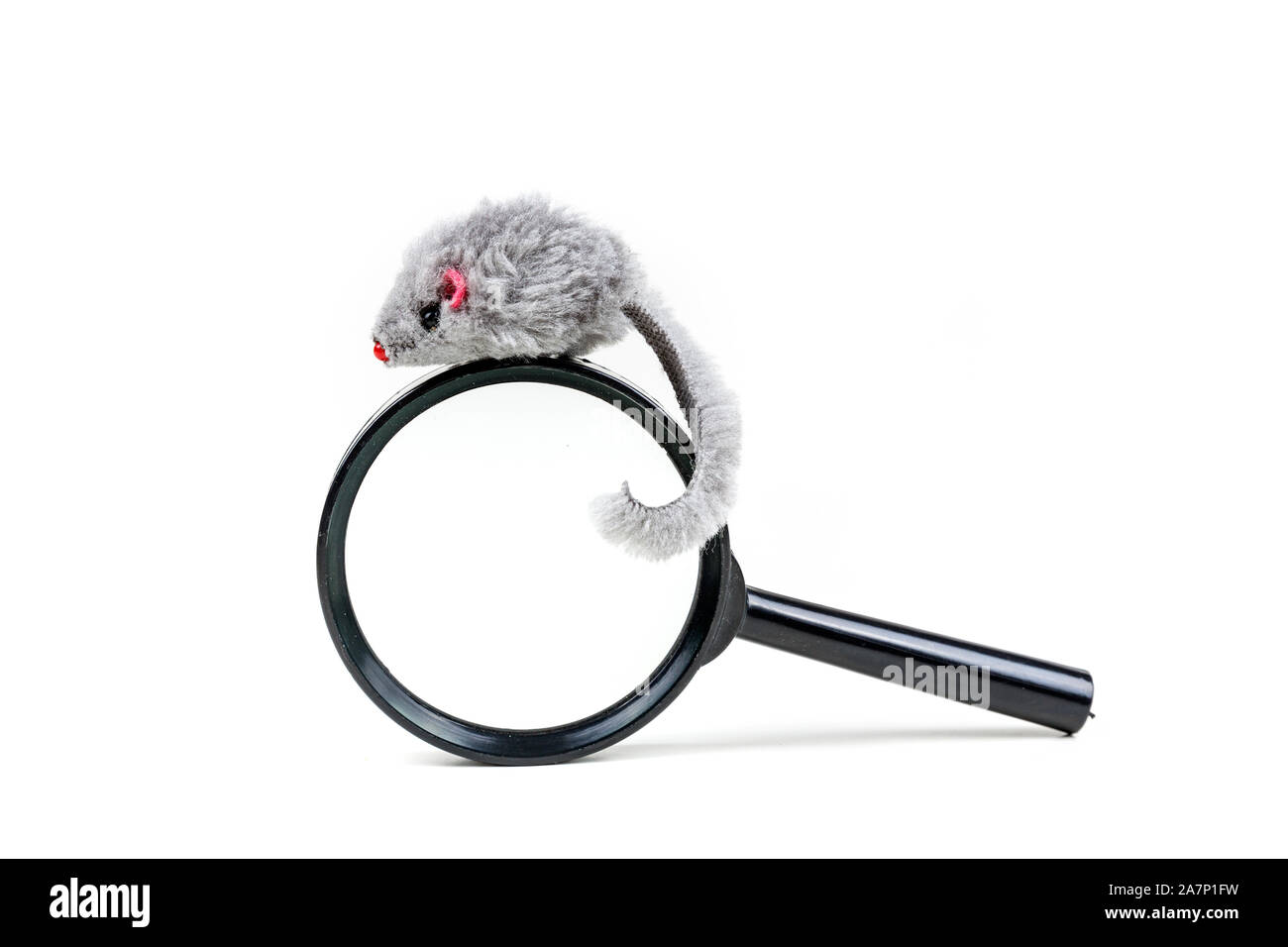 Small grey toy mouse in a magnifying glass Stock Photo - Alamy