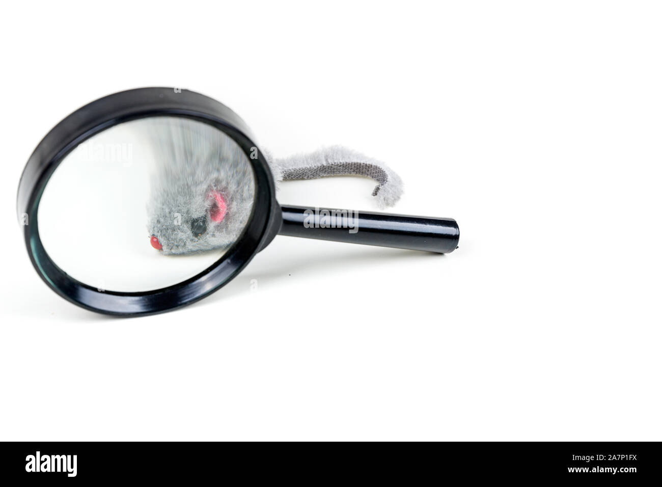 Mouse run up Cut Out Stock Images & Pictures - Alamy