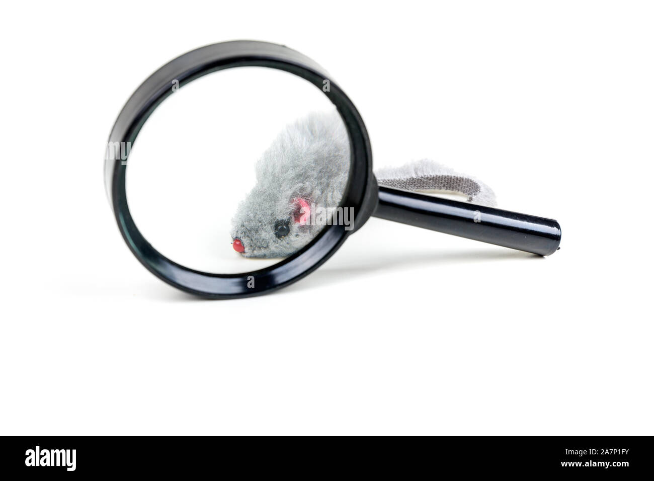 Mouse run up Cut Out Stock Images & Pictures - Alamy