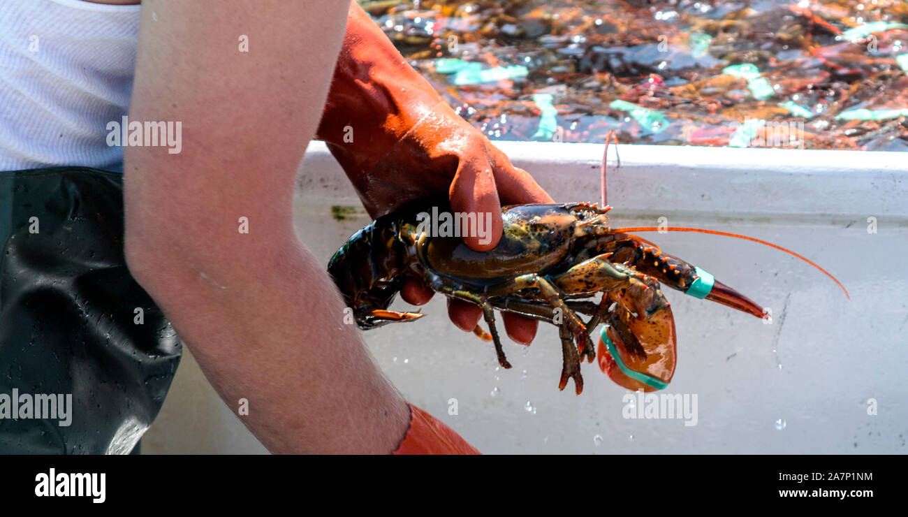 Vinalhaven maine hi-res stock photography and images - Alamy