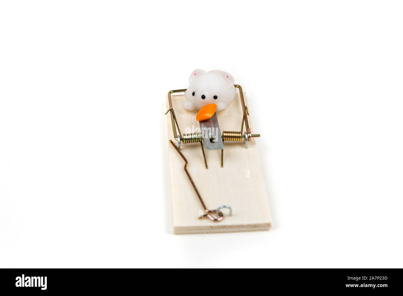 Cheap wood and metal snap mouse traps for catching pests Stock Photo ...