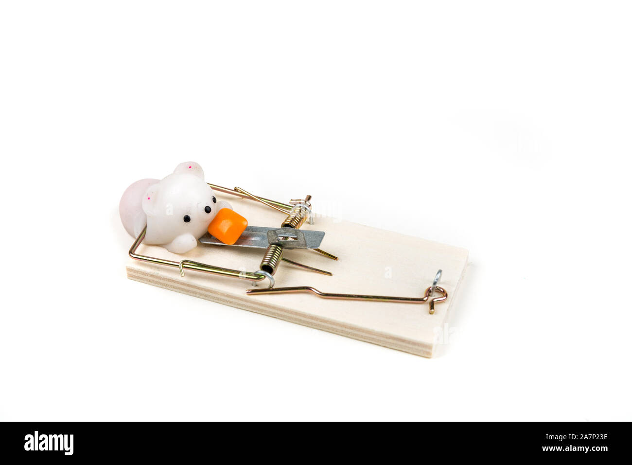 Cheap wood and metal snap mouse traps for catching pests Stock Photo ...