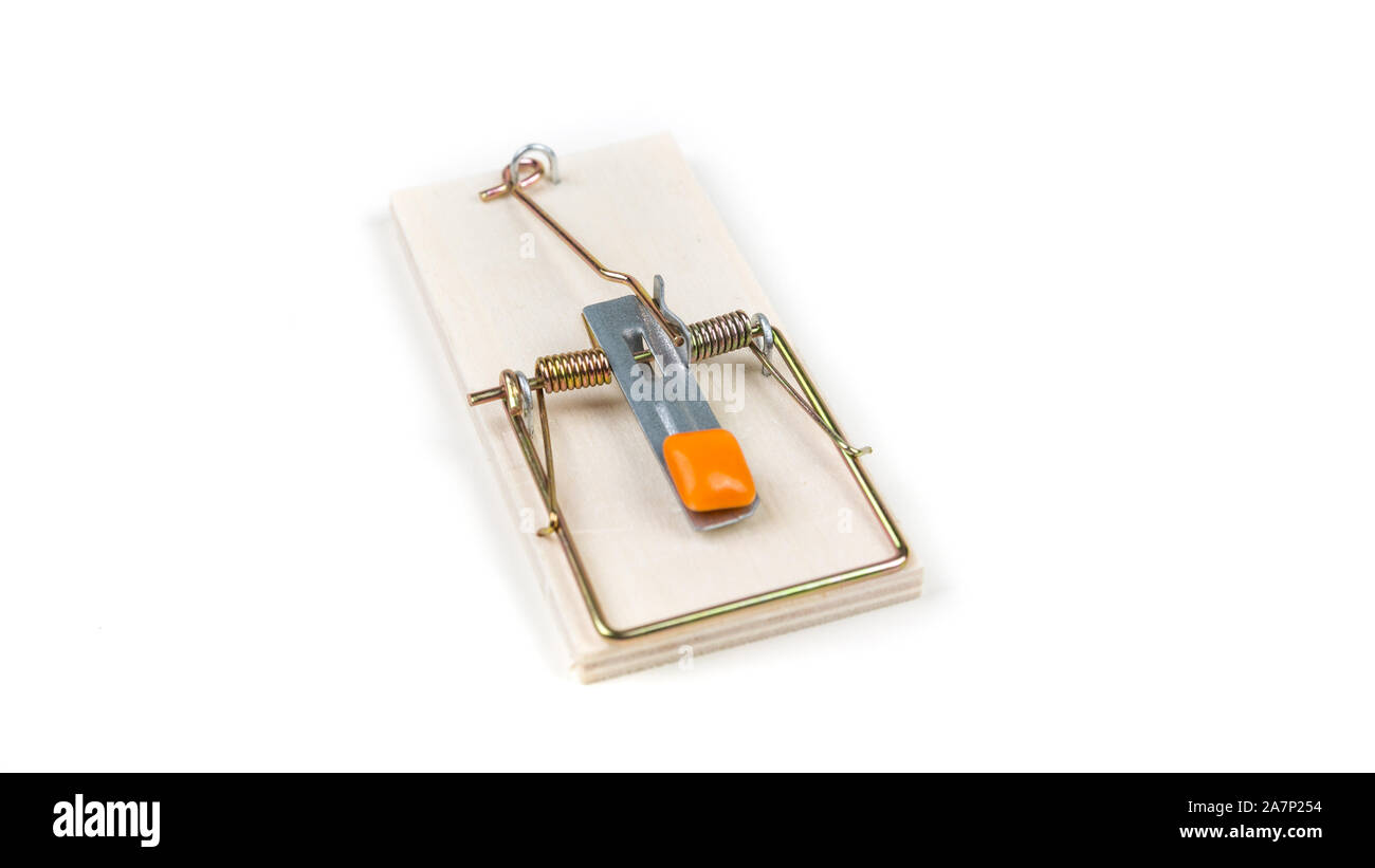 Cheap wood and metal snap mouse traps for catching pests Stock Photo ...